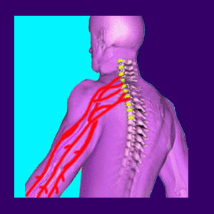 Back Surgery Nerve Damage - Back Pain