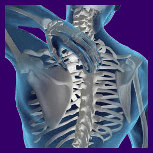 Chronic Upper Back Pain - Back Pain