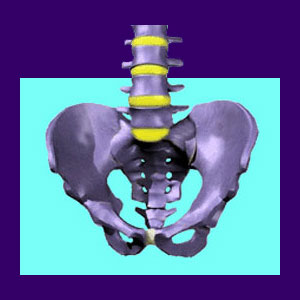 Fractured Coccyx - Back Pain