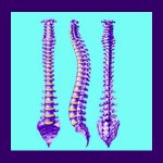 Inversion Therapy - Back Pain