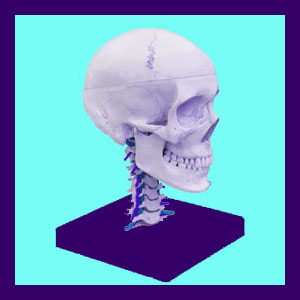 Military Neck - Back Pain