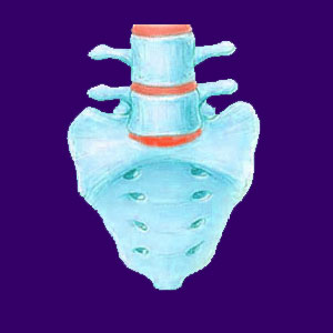 Sacrum - Back Pain