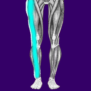 Short Leg Syndrome - Back Pain