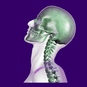 Slipped Vertebrae - Back Pain